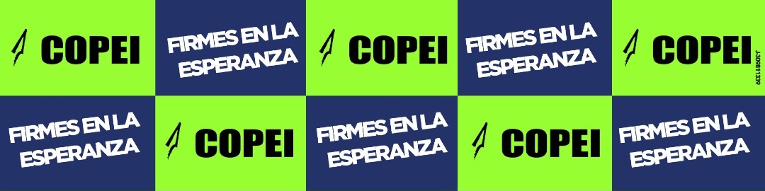 Historia - Partido COPEI